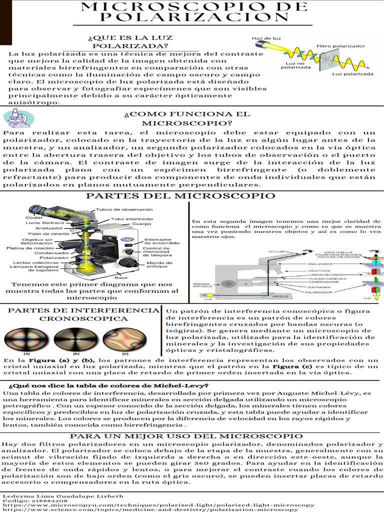 Cómo funciona el microscopio de luz polarizada y sus aplicaciones en el ...