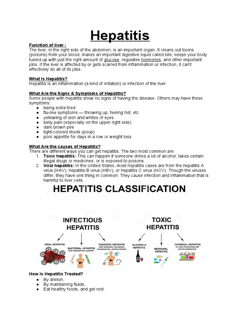 Liver Function and Hepatitis Symptoms | PDF