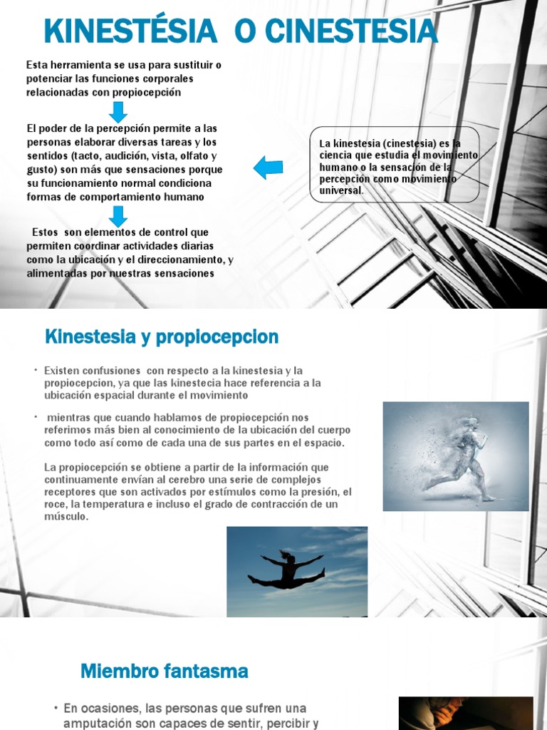 Kinestésia o Cinestesia | PDF | Percepción | Cognición