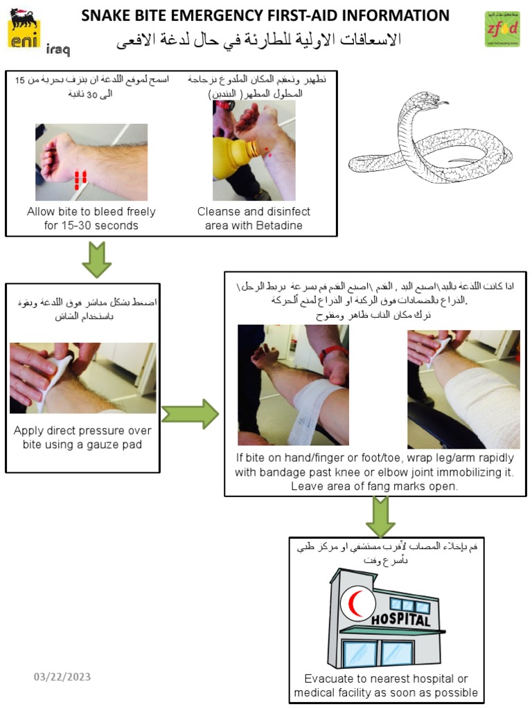 First-Aid Snake | PDF