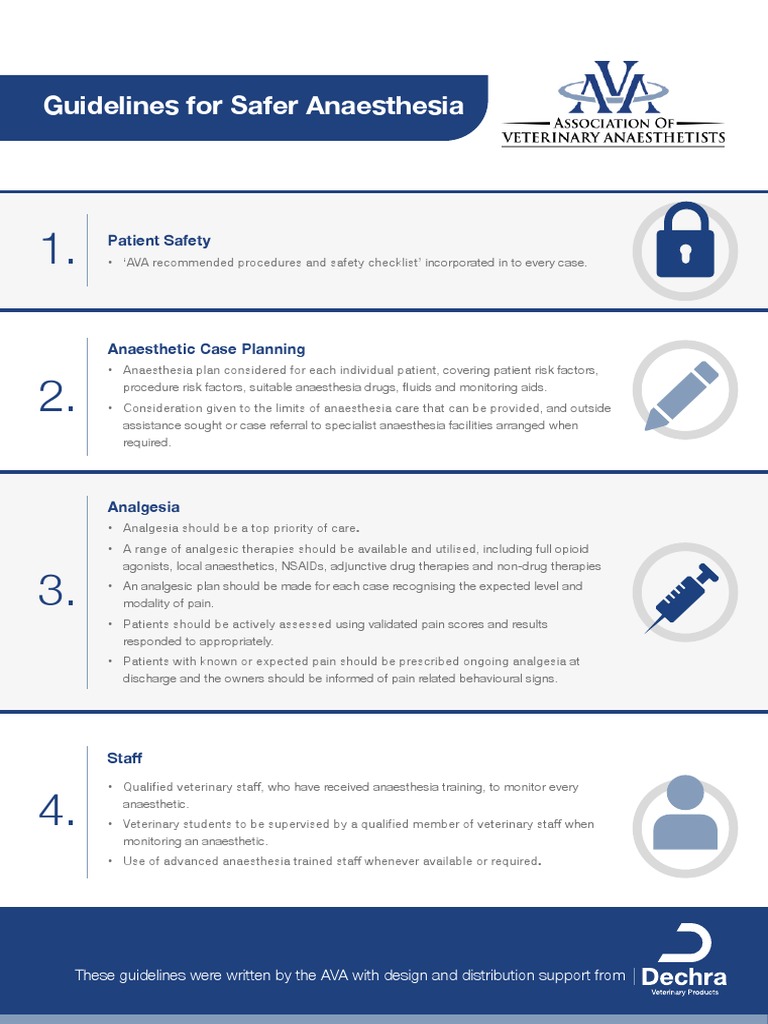 AVA Safer Anaesthesia Guidelines Selected Final v2 CC | PDF ...
