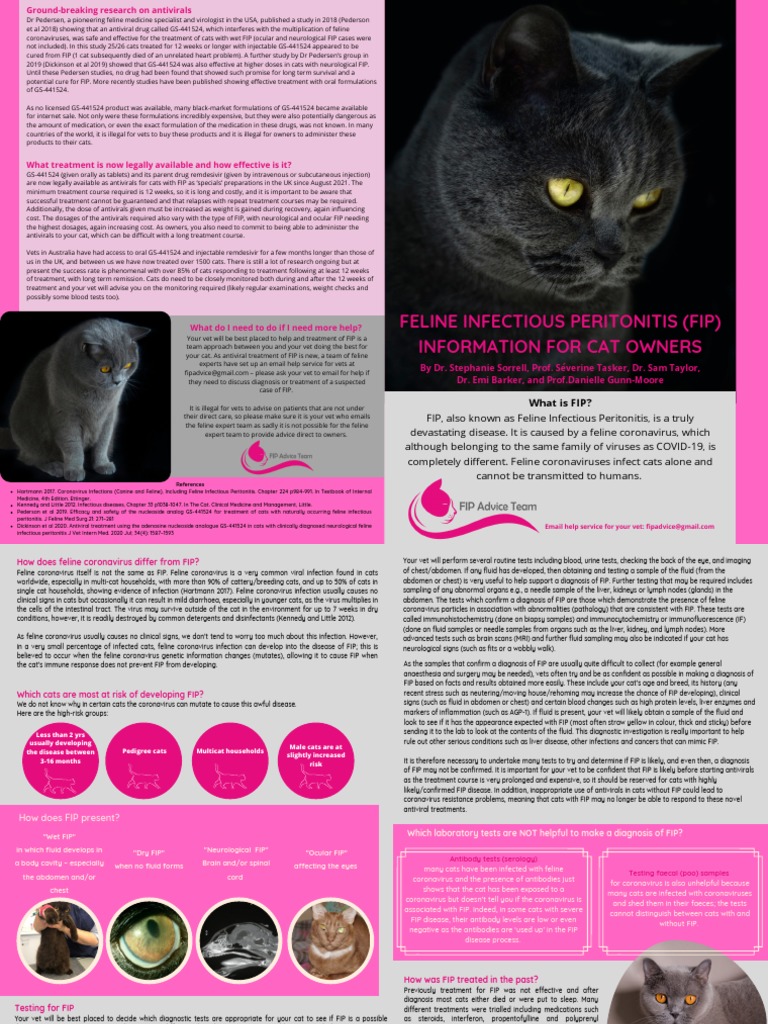 FIP Pet Owner Brochure FINAL V2 1 PDF | PDF | Infection | Health Care
