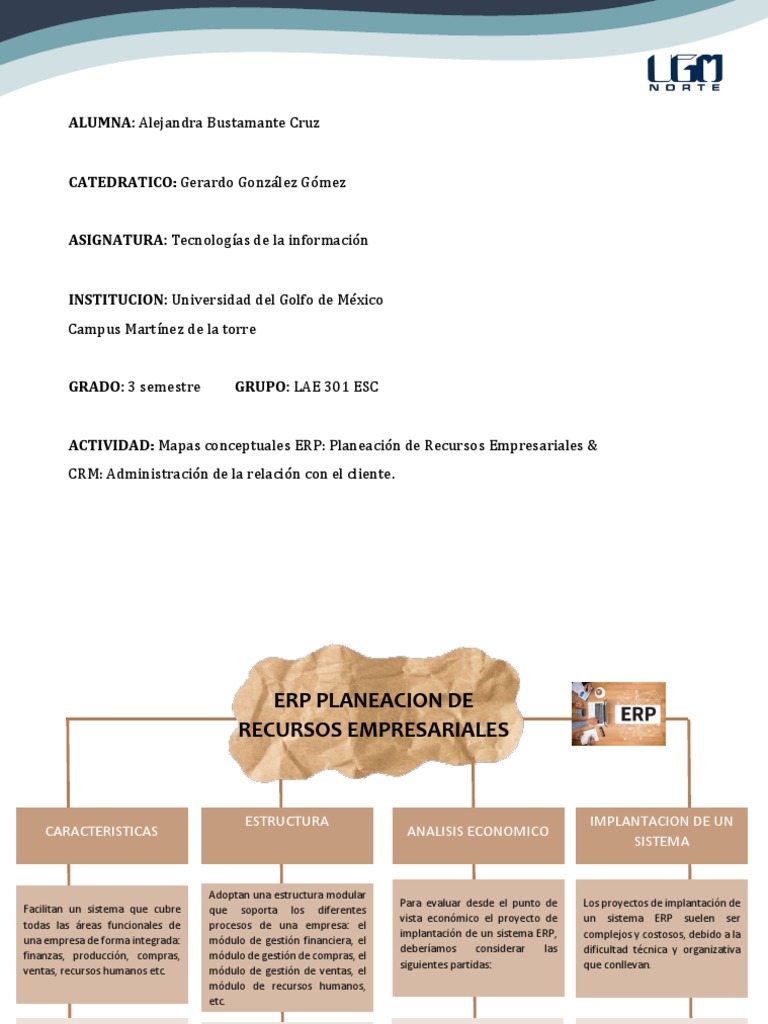 Mapas Conceptuales ERP - CRM - Alejandra Bustamante LAE301 | PDF ...