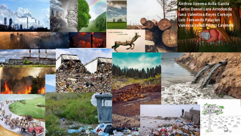 Collage de Ecologia | PDF