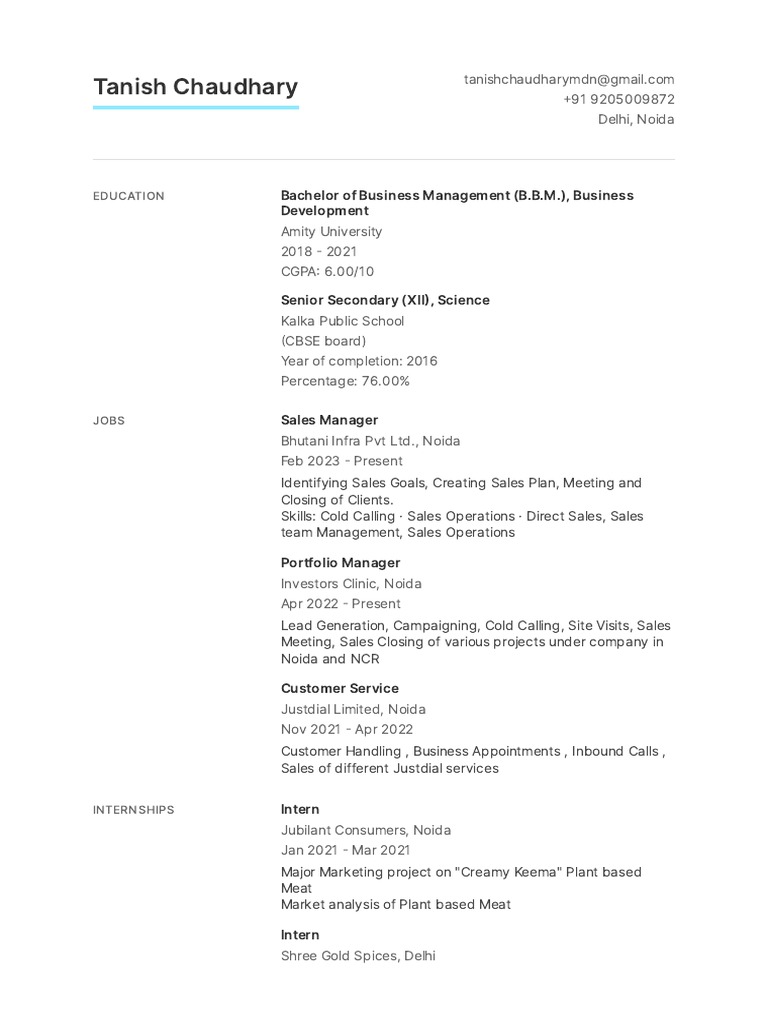 Sales and Marketing Professional Resume | PDF | Digital Marketing | Sales