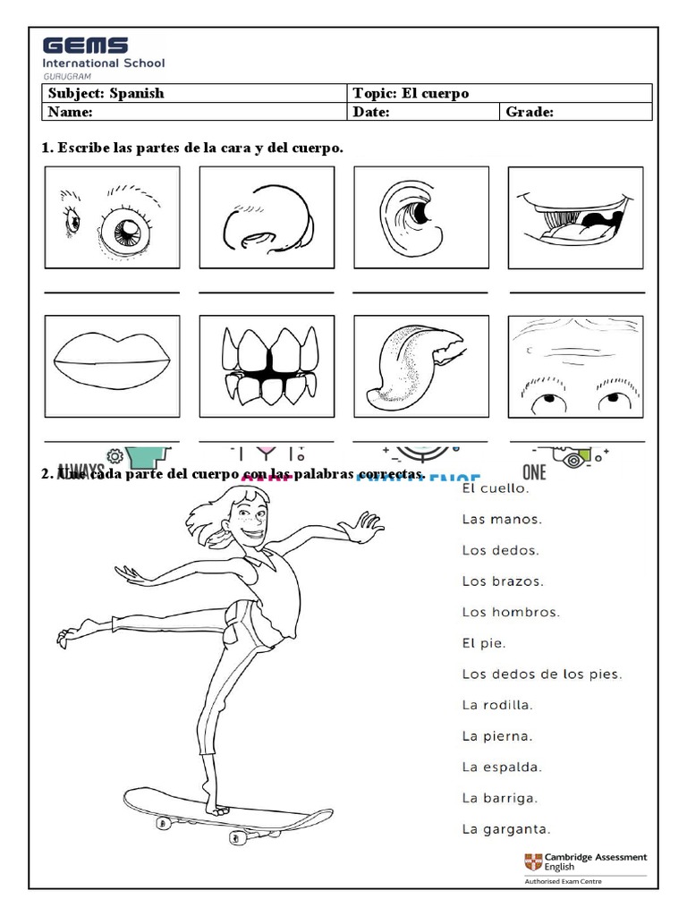 El Cuerpo Grade 3 and 4 | PDF