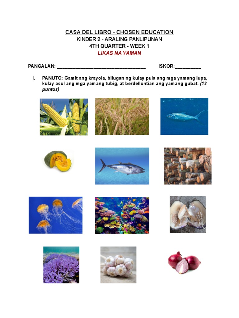 Week 1 - Likas Na Yaman | PDF