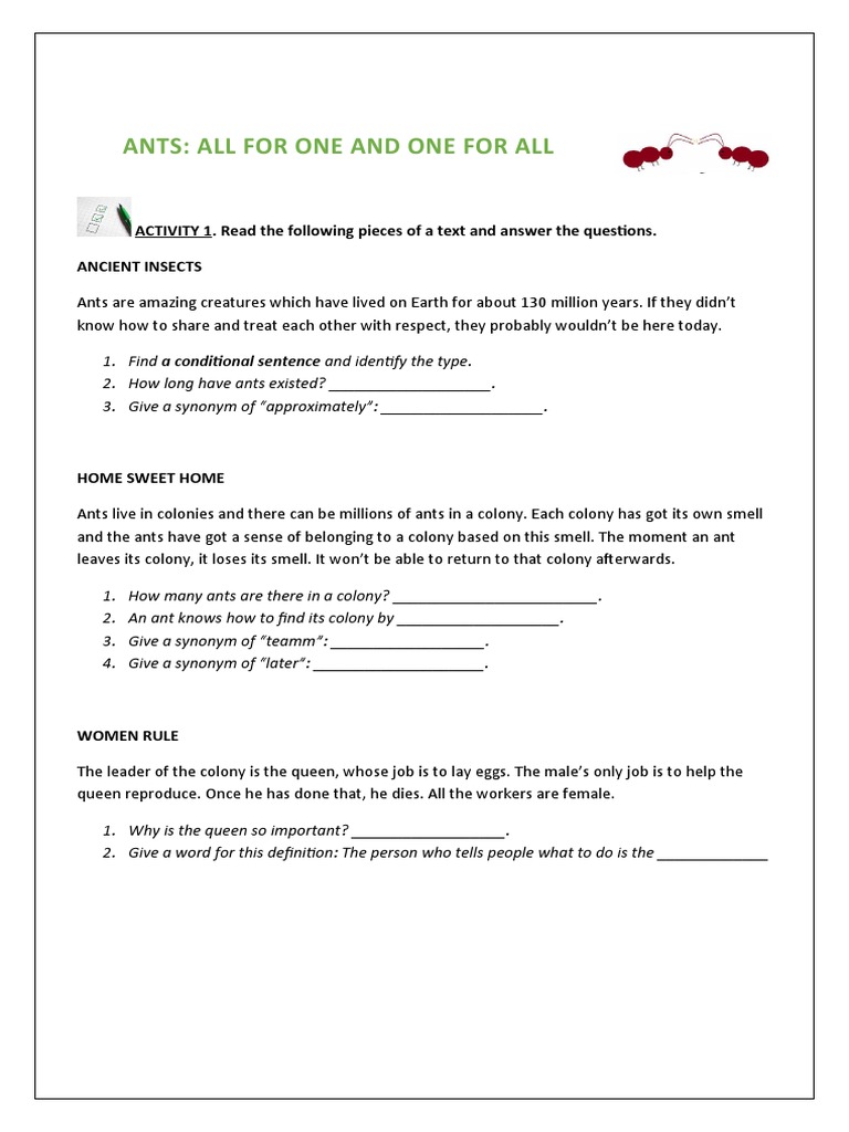 4 ESO Activity in Groups Unit 3 | PDF | Ant