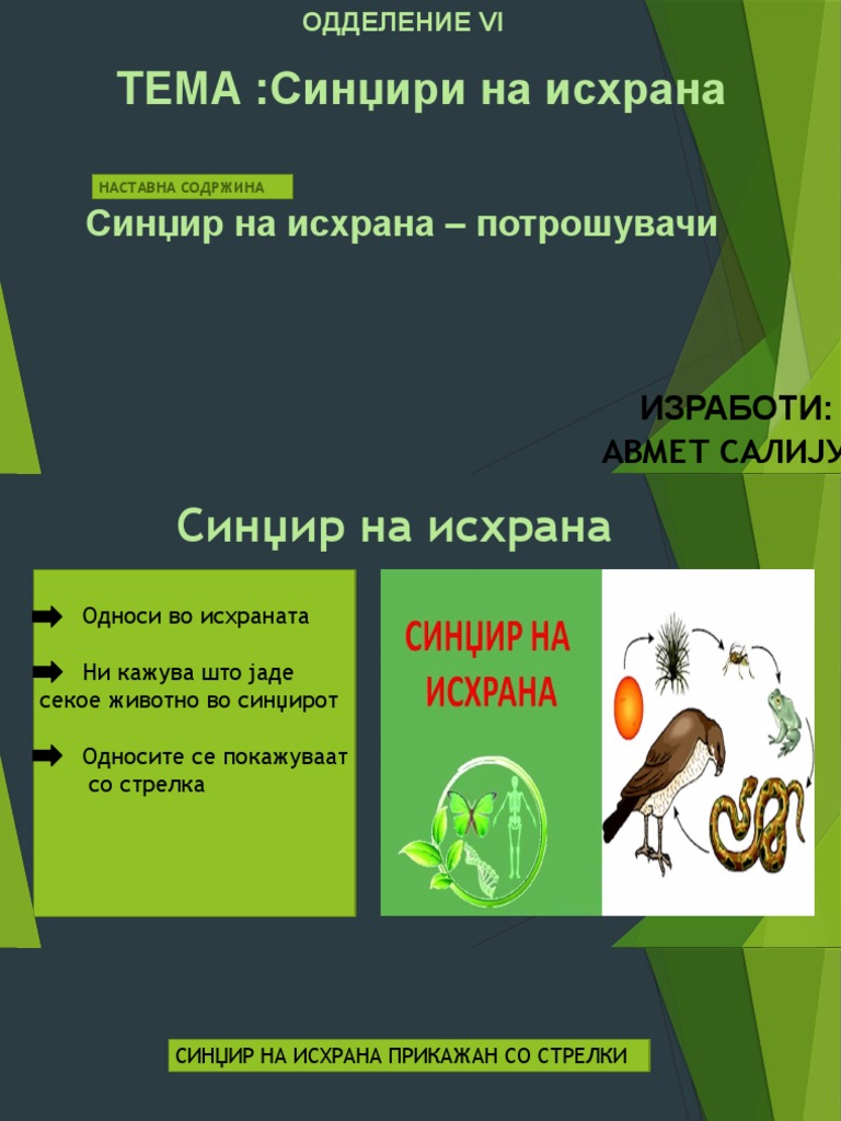 Синџир на исхрана Потрошувачи Pdf
