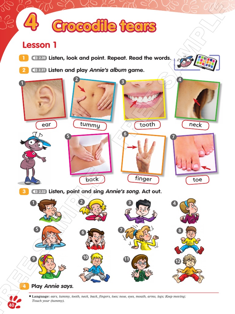 Bugs Team 2 - Podręcznik U4-U6 | PDF | Meal | Lunch