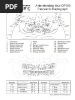 Ankle X-Ray Interpretation | PDF | Ankle | Musculoskeletal System