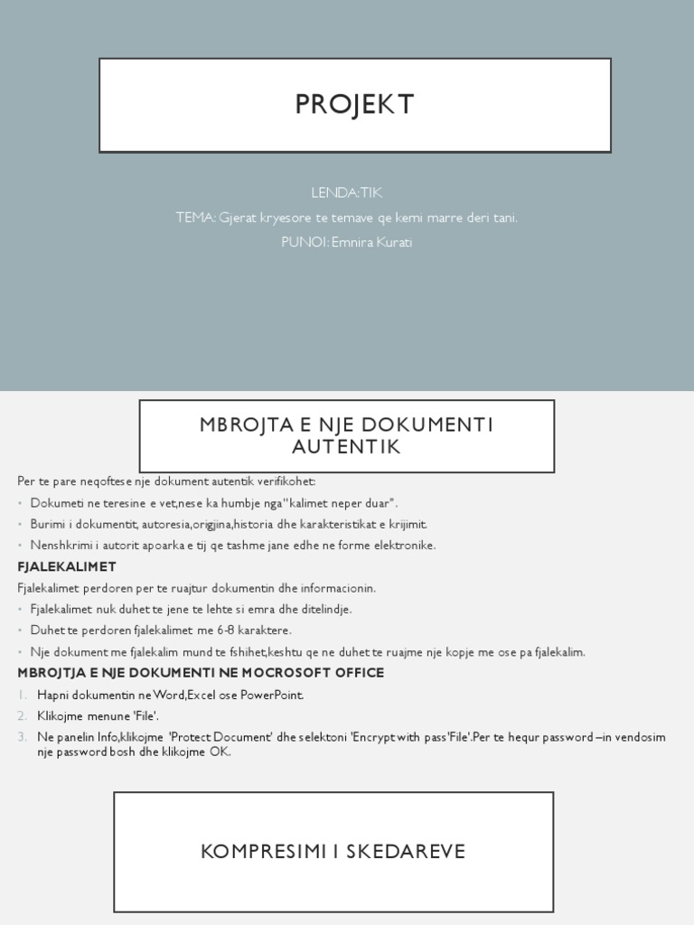 Projekt Tik PDF | PDF