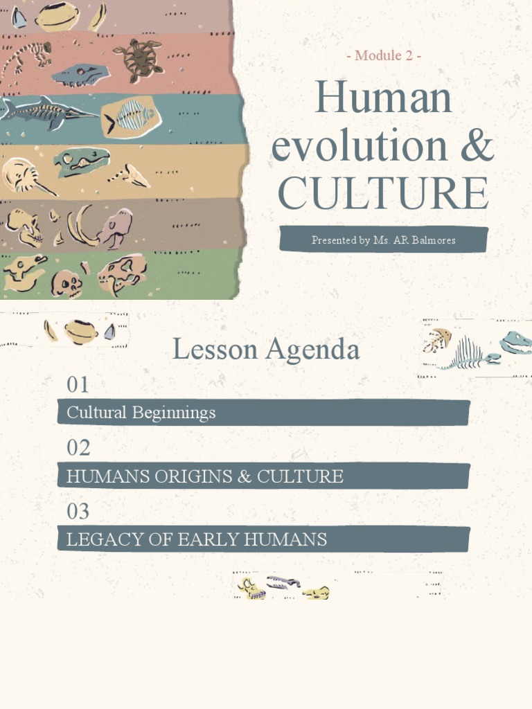 Module 2 Human Evolution CULTURE | PDF | Cultural Heritage | Human