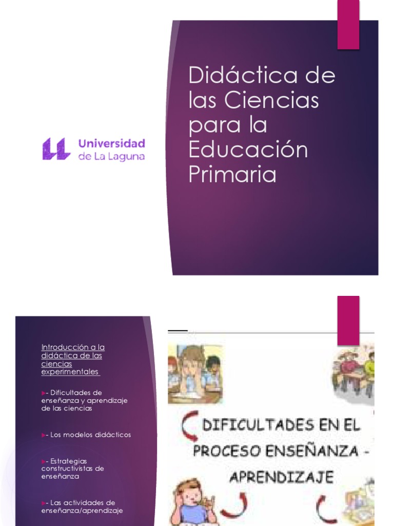 Tema 1 Did - Ctica Primaria-Good | PDF | Evaluación | Aprendizaje