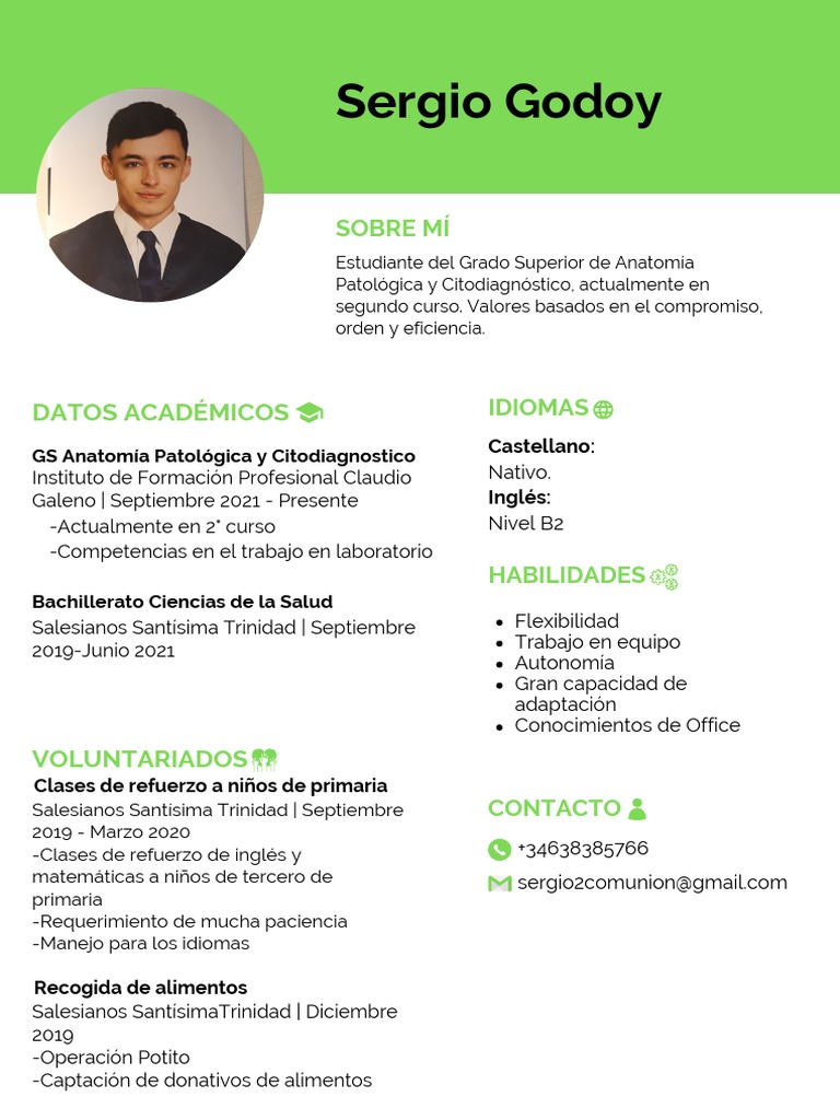 4. Cv Sergio | PDF