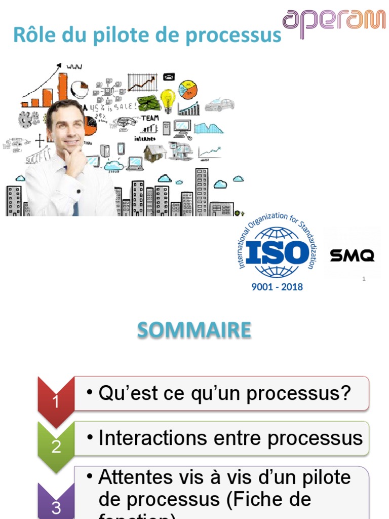 Rôle du Pilote de Processus ISO 9001 | PDF | Business