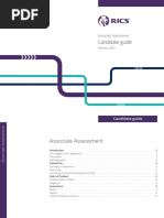 Associate Candidate Guide - Final - February 2024 | PDF | Audit