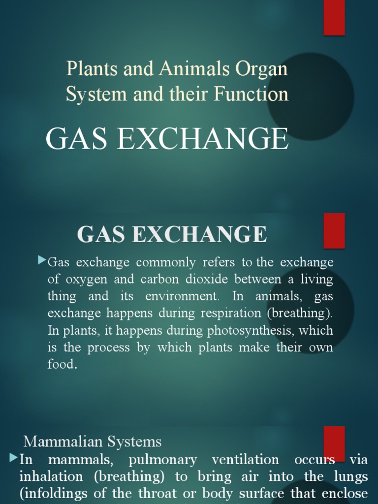 Gas Exchange in Organisms | PDF | Lung | Respiratory Tract
