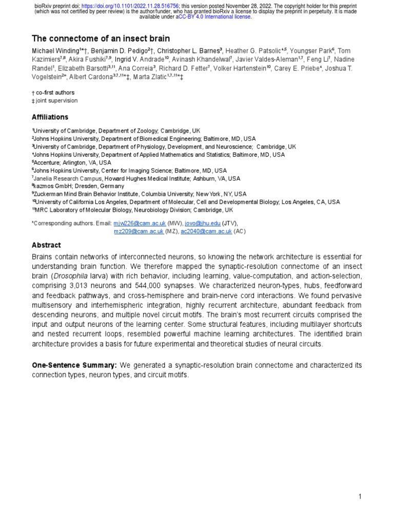 Conectoma Mosca Prepublicación PDF | PDF | Neuron | Synapse