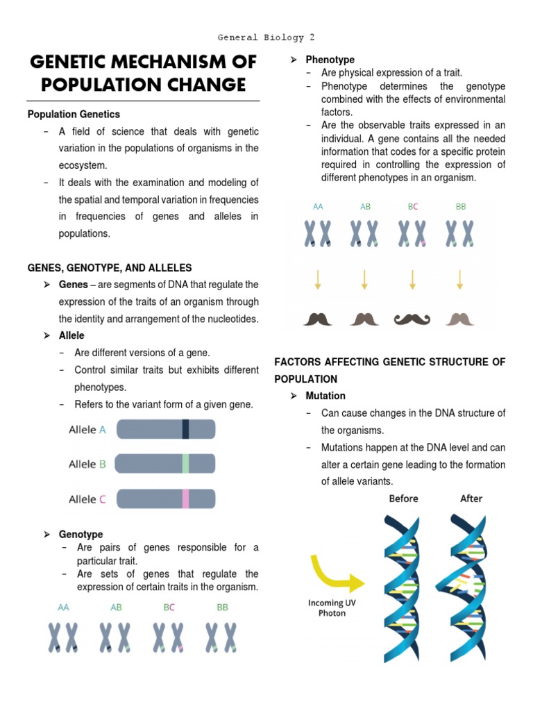 Genbio Notes | PDF | Genetics | Reproduction