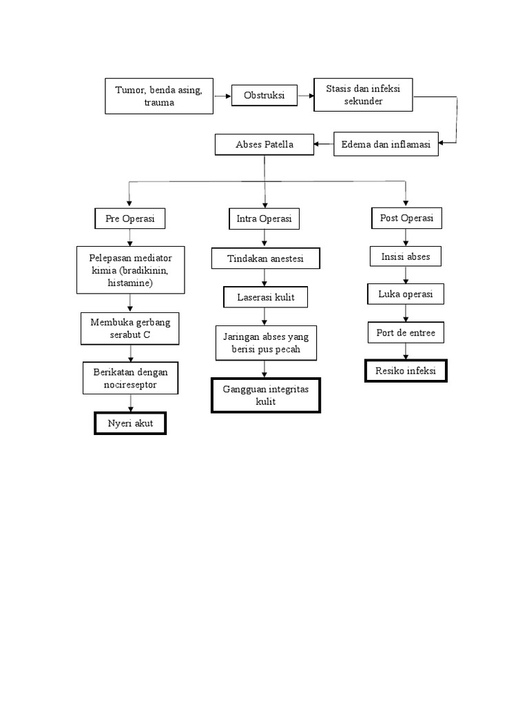 Pathways Abses Patella | PDF