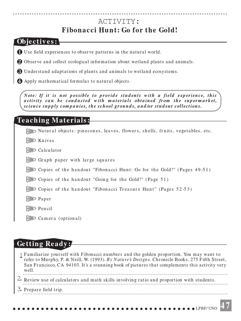 Fibonacci Teacher Pdf Pattern Leaf