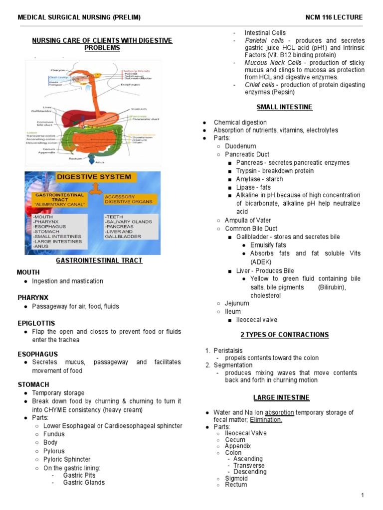 NCM 116 Lecture - Prelim PDF | PDF | Gastroesophageal Reflux Disease ...