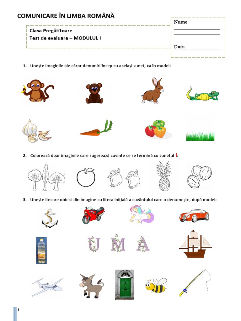 CLR Evaluare Sumativa Modulul I | PDF