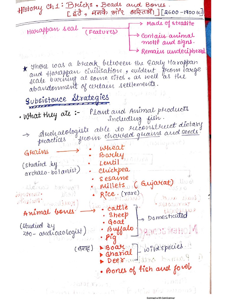 CH 1 History Notes Class 12 1 1 | PDF