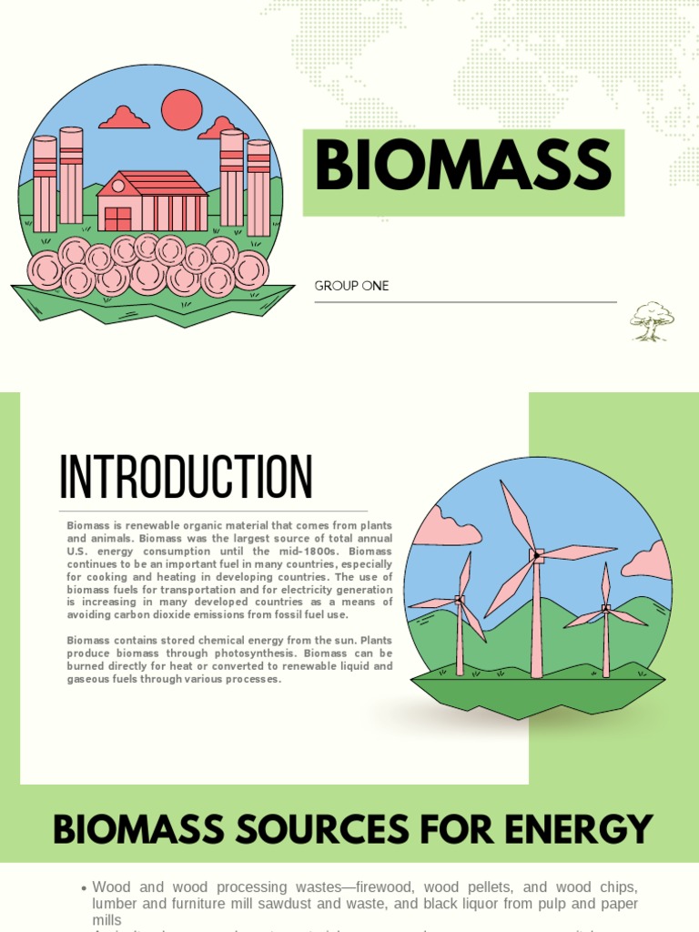 BIOMASS | PDF | Biomass | Biofuel