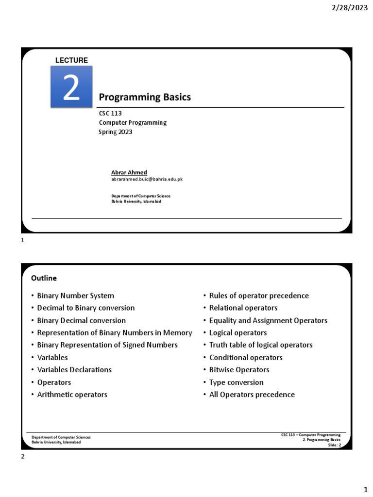 Lecture 2 Programming Basics 28022023 102744am PDF | PDF | Bit | Arithmetic