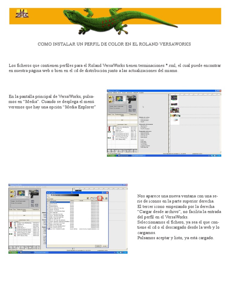 Instalar perfil de color en Roland VersaWorks | PDF | Informática