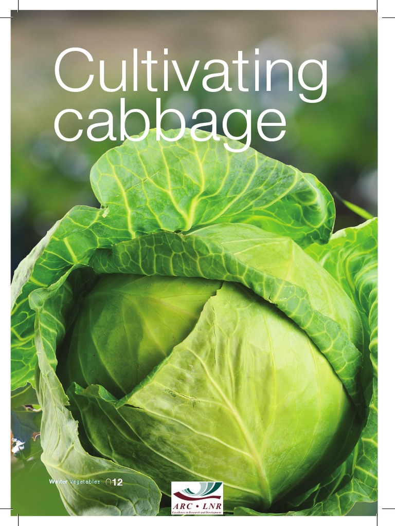 Cultivating | Download Free PDF | Cabbage | Broccoli