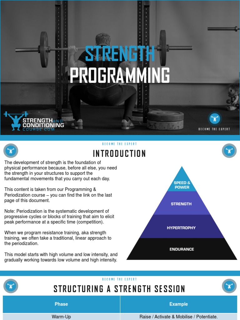 Gym Programming PDF | PDF | Weight Training | Muscle Hypertrophy