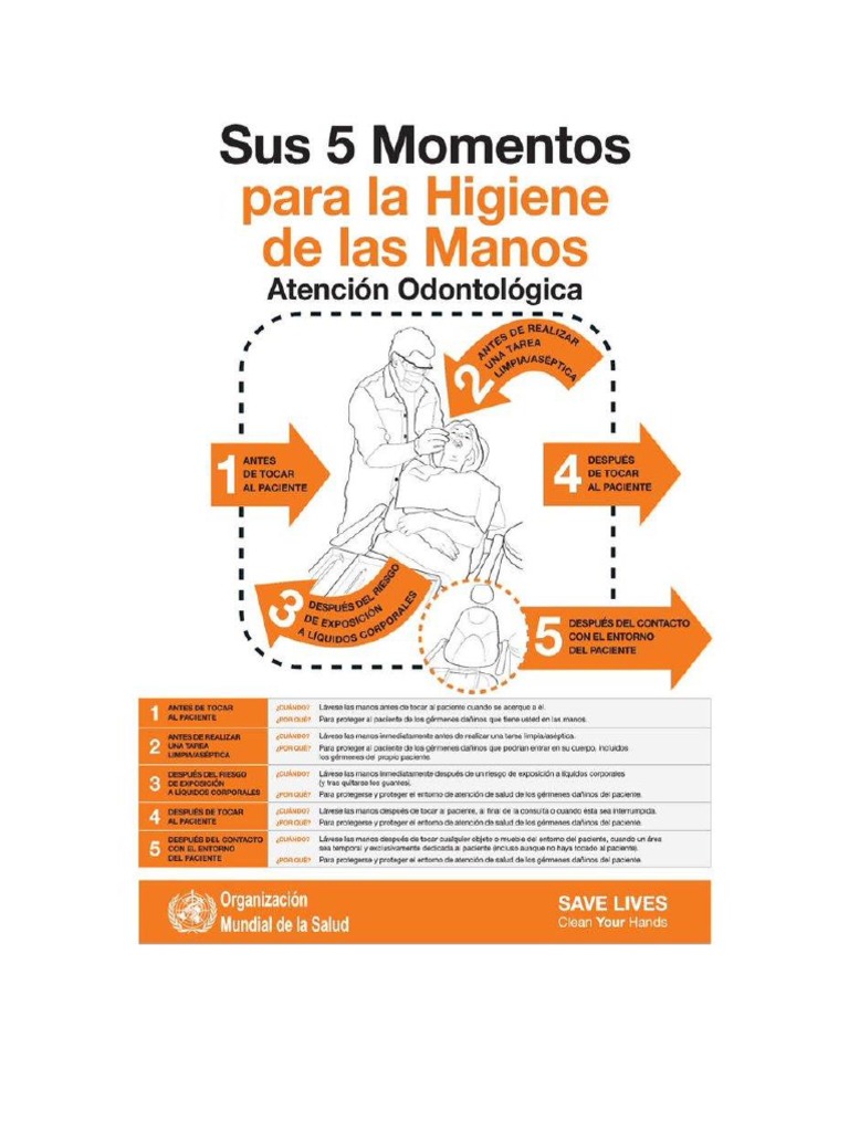 Los 5 Momentos Dental | PDF