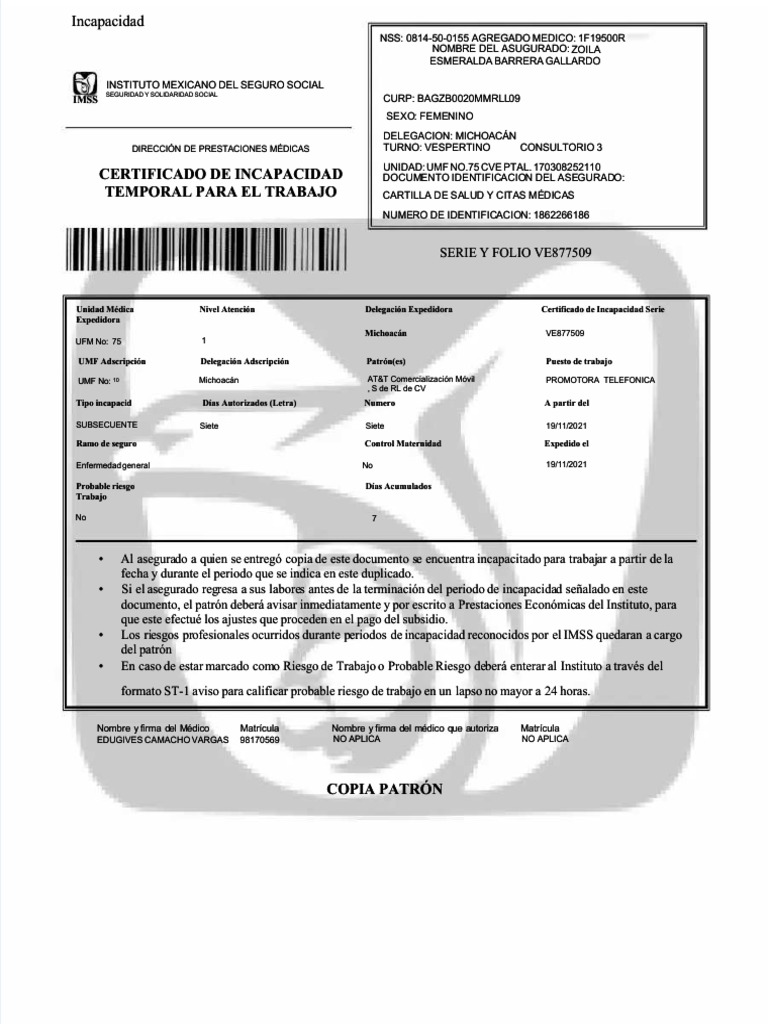 Justificante Incapacidad Imss - Compress | PDF