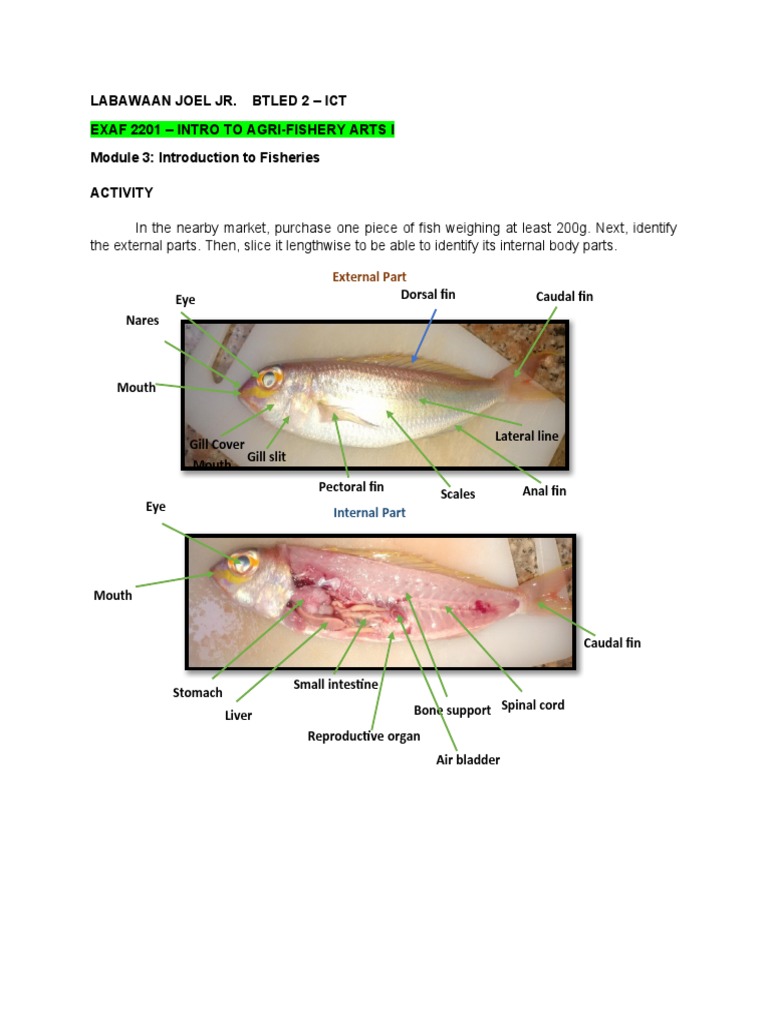 MODULE 3 Intro To Agri-Fishery Art Labawan Joel JR | PDF | Investing | Fish