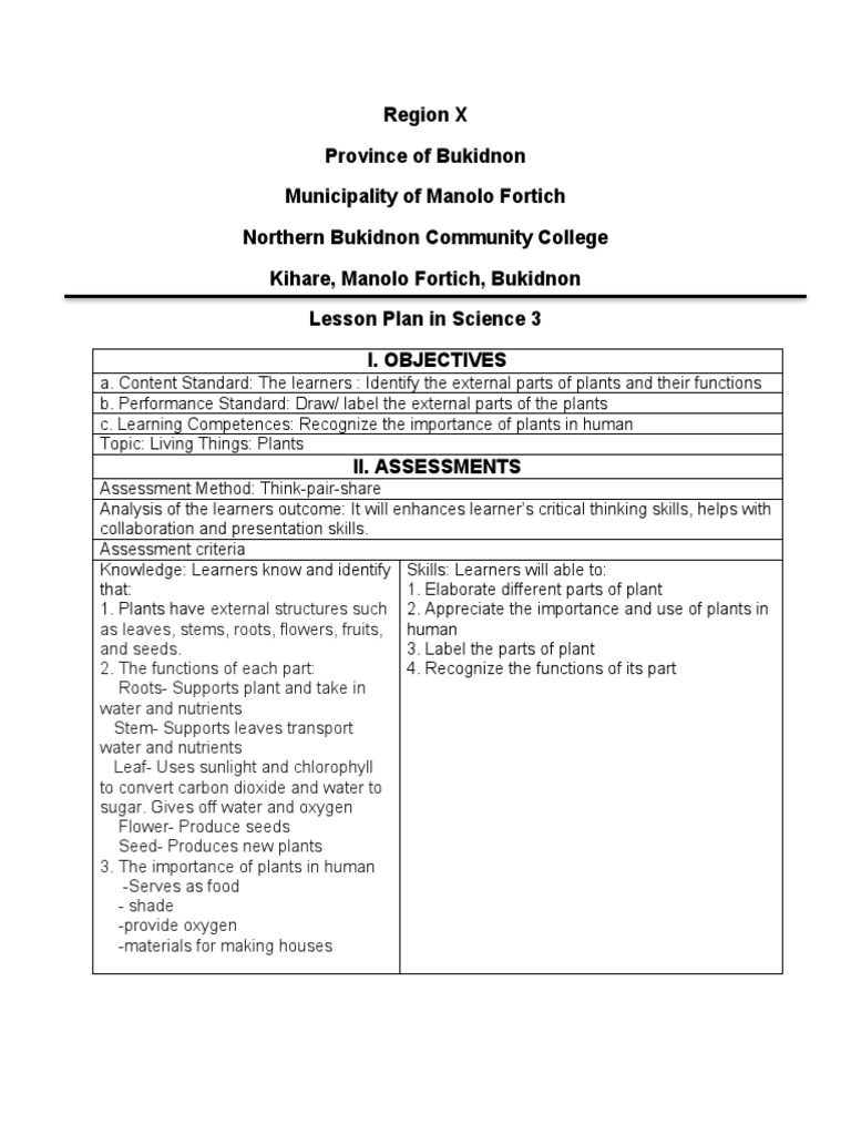 AL Lesson Plan | PDF | Plants | Leaf