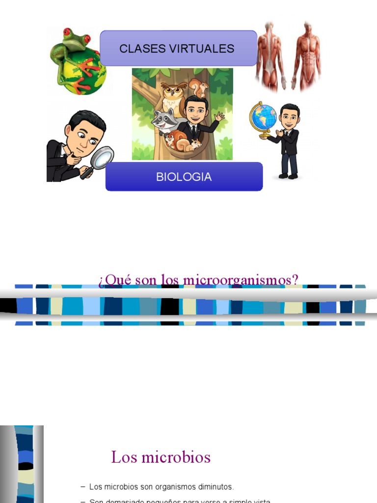 Virus y Hongos | PDF | Virus | Las bacterias