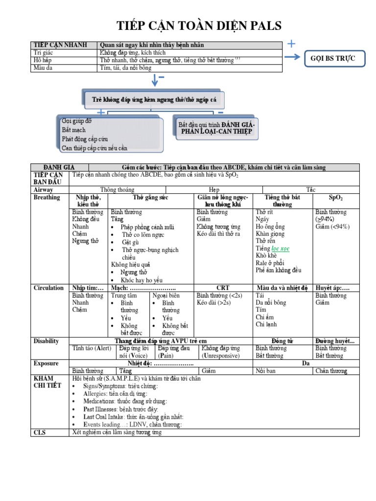 TIẾP CẬN TOÀN DIỆN PALS | PDF