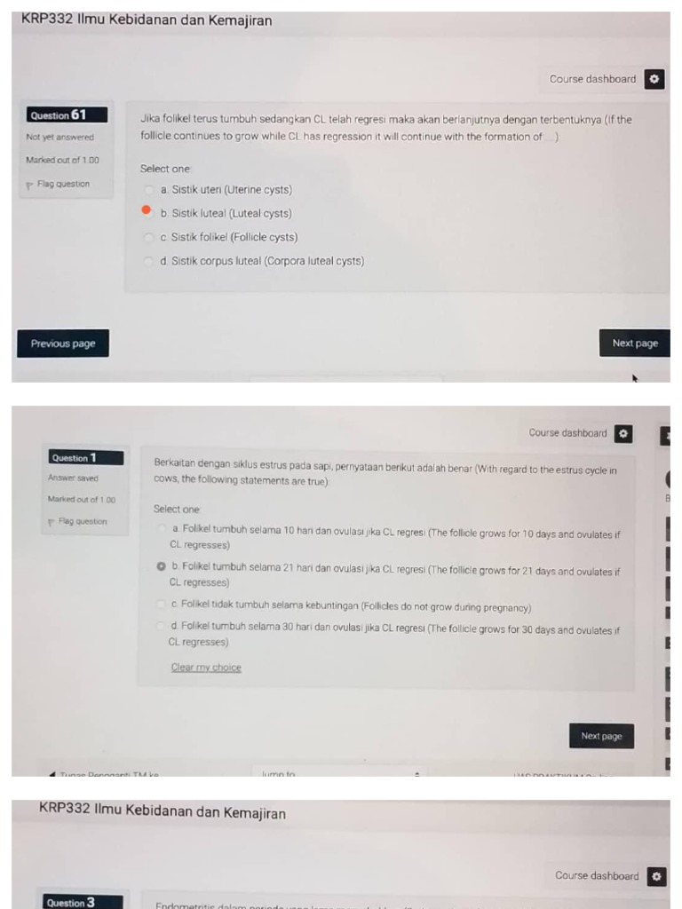 IKK 2020 UAS Exam Ans PDF | PDF