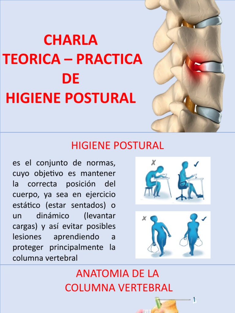 Higiene Postural | PDF