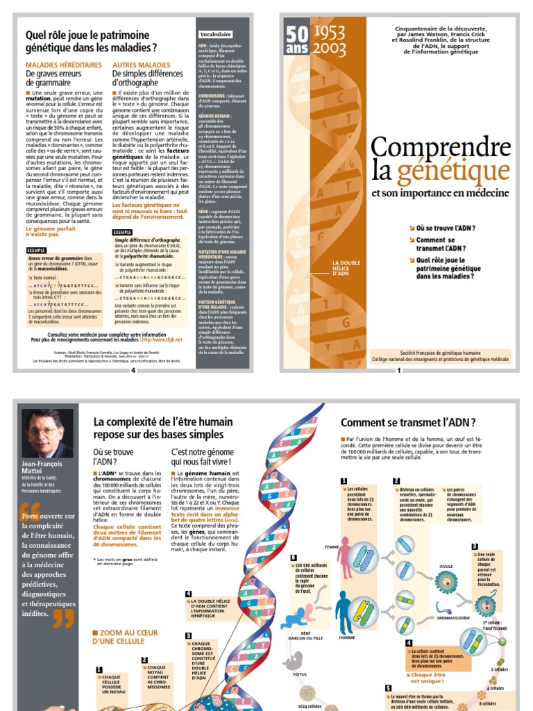 ADN : Comprendre la génétique et ses enjeux | PDF | ADN | Génétique