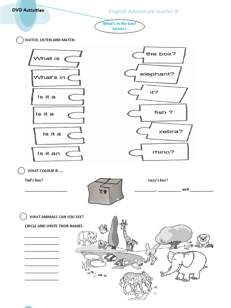 DVD Activities Starter B | PDF