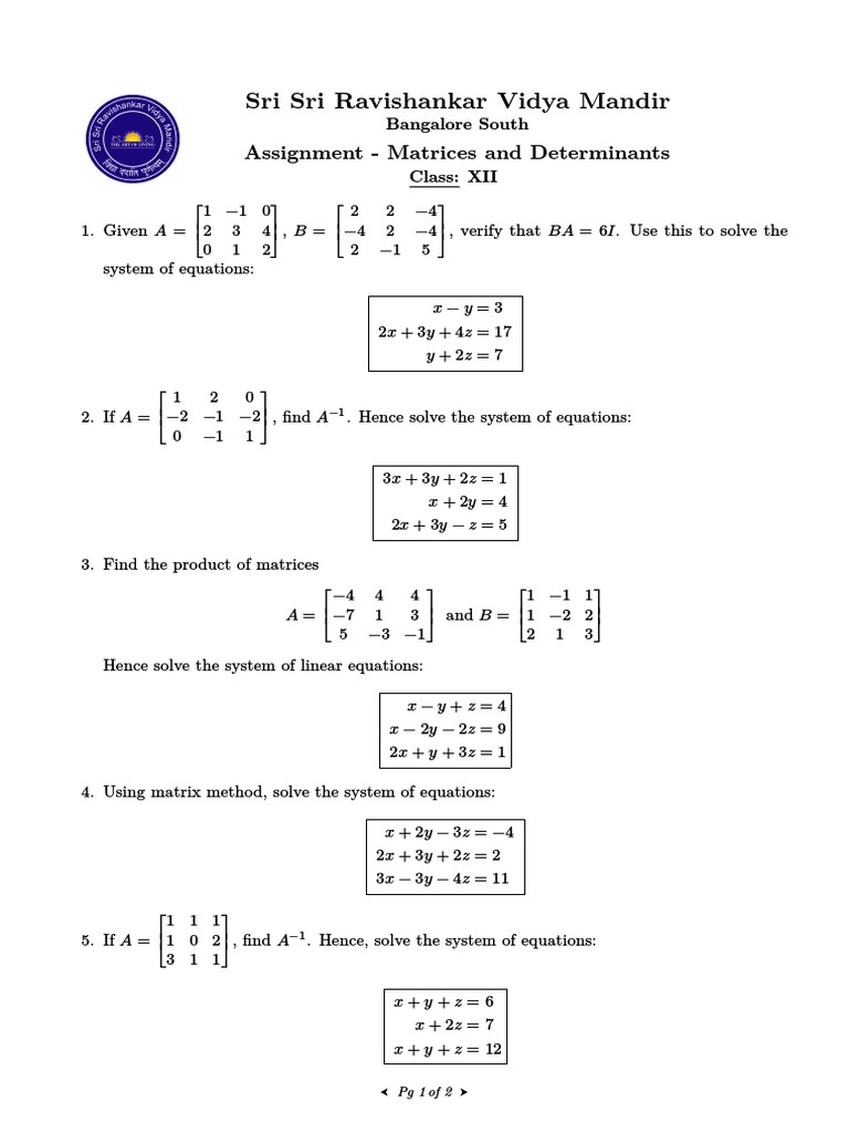 Class12 Worksheet MatricesDets PDF | PDF | Matrix (Mathematics ...