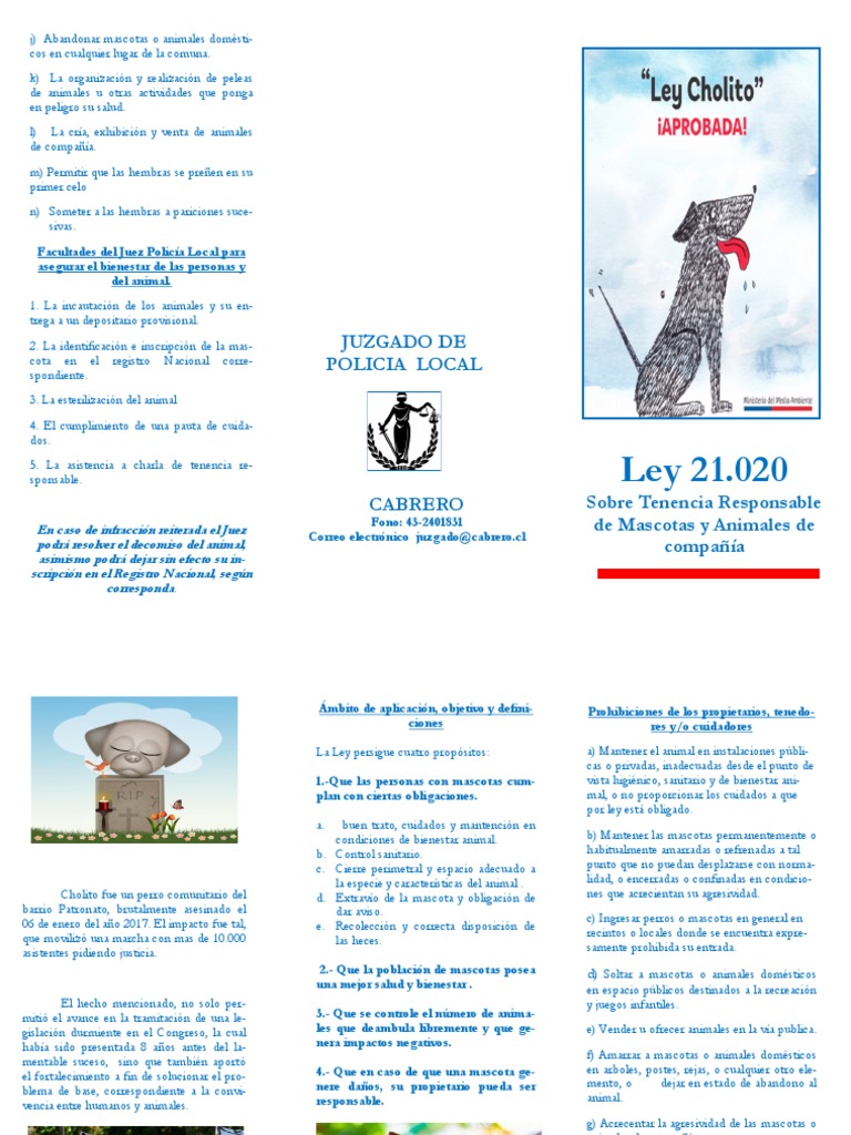 Triptico Ley Cholito | PDF