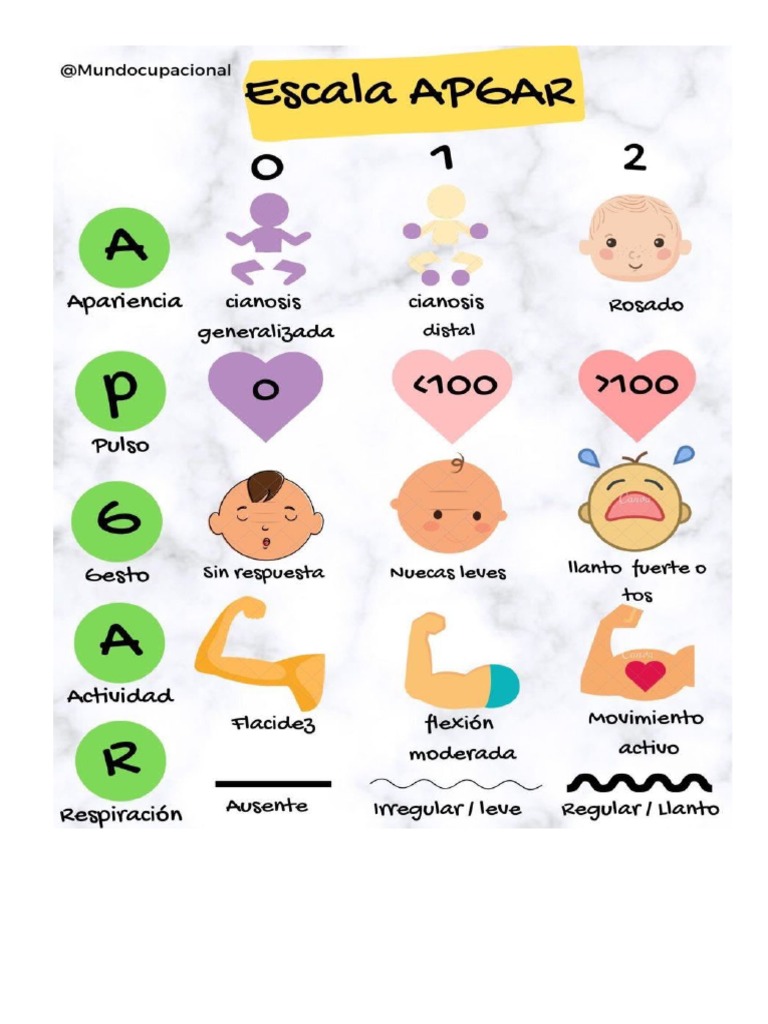 Escala APGAR | PDF