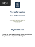 Morfologia Gramineas | PDF | Semente | Raiz