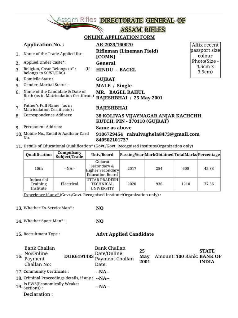 Online Application - PDF | PDF