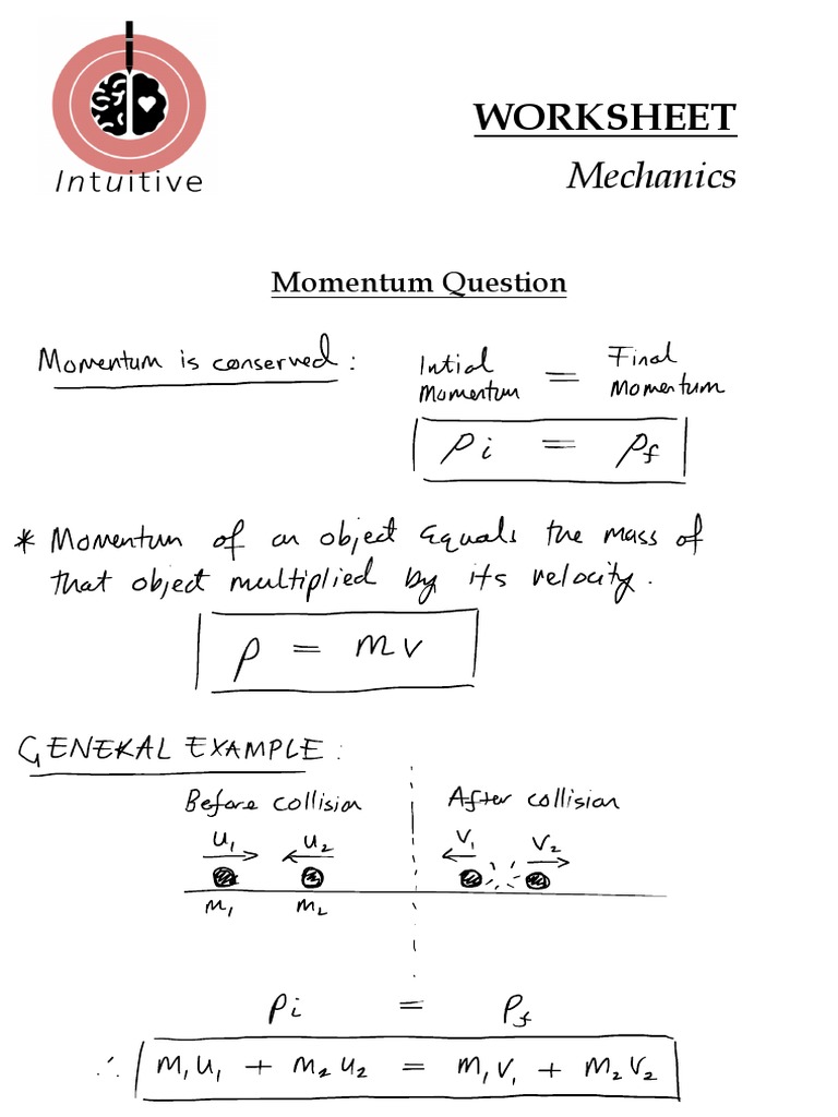 Momentum Question Worksheet | PDF